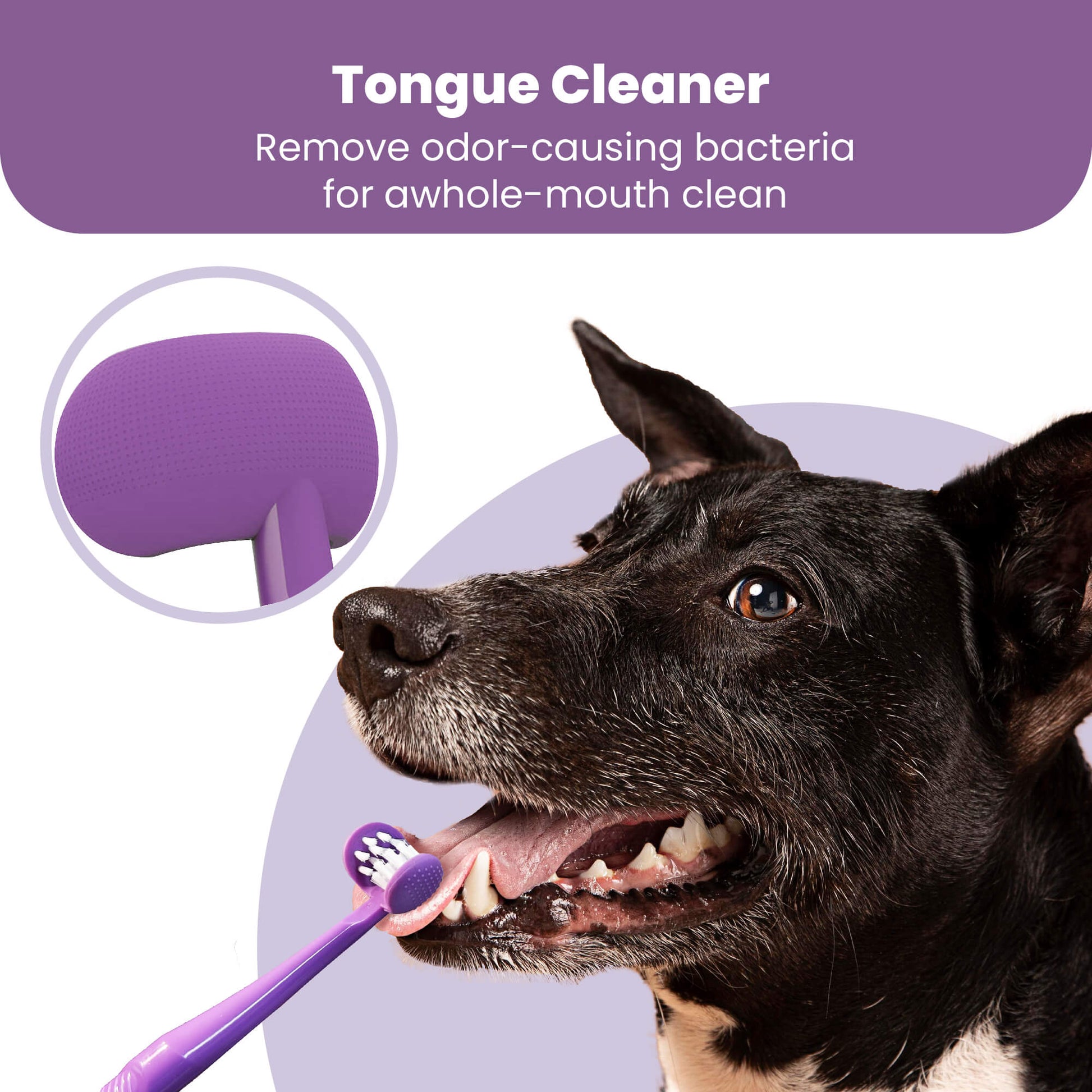 small dog toothbrushes